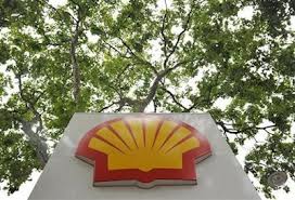 Shell targets end of 2014 for FID on Bonga South West project