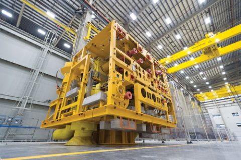 NCDMB, TechnipFMC celebrates 44th Egina FPSO subsea tree