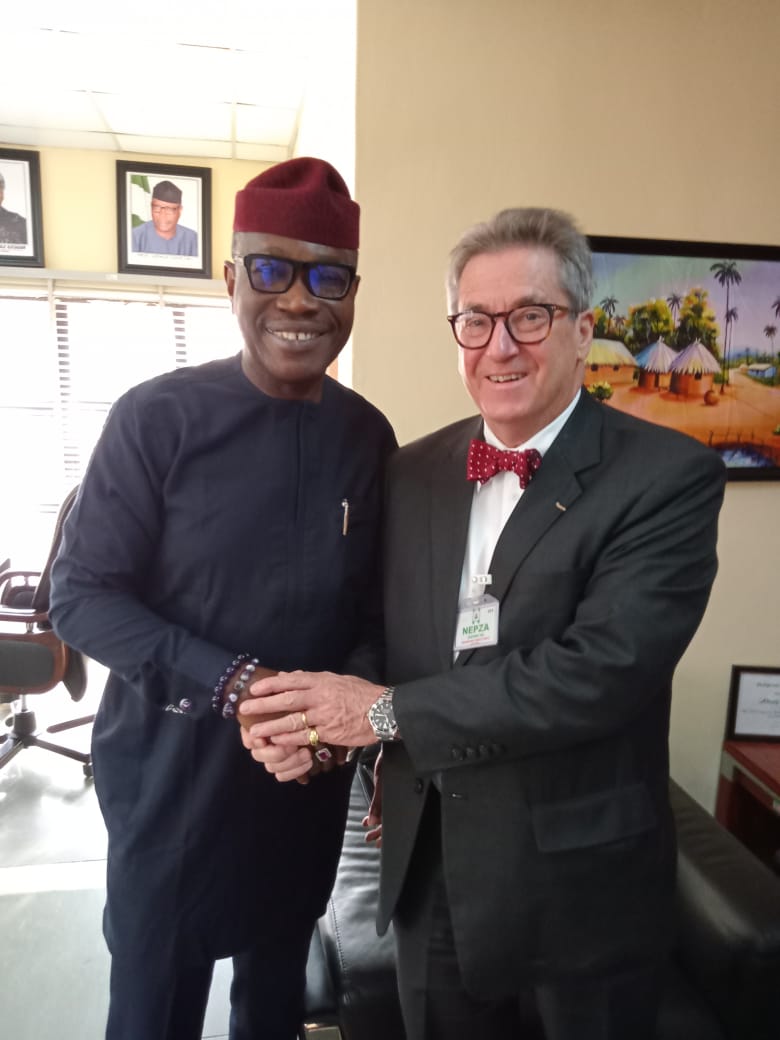 NEPZA to partner with ministry, gemologist, others to reposition ...