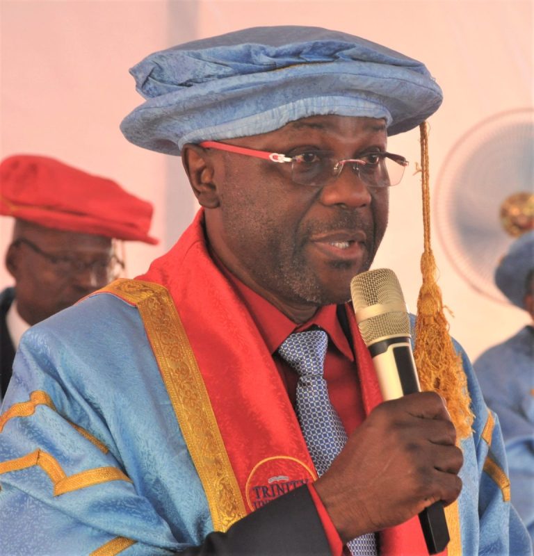 SystemSpecs boss calls for human capacity building to drive Nigeria's ...