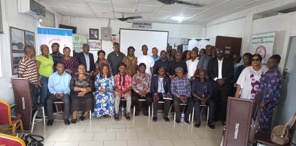YEAC-Nigeria unveils off-grid electricity for N/Delta communities