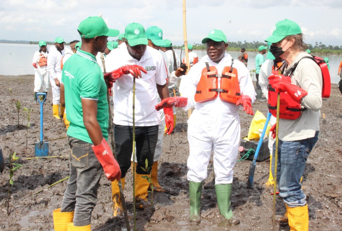 HYPREP targets carbon credits for Ogoni through mangrove restoration