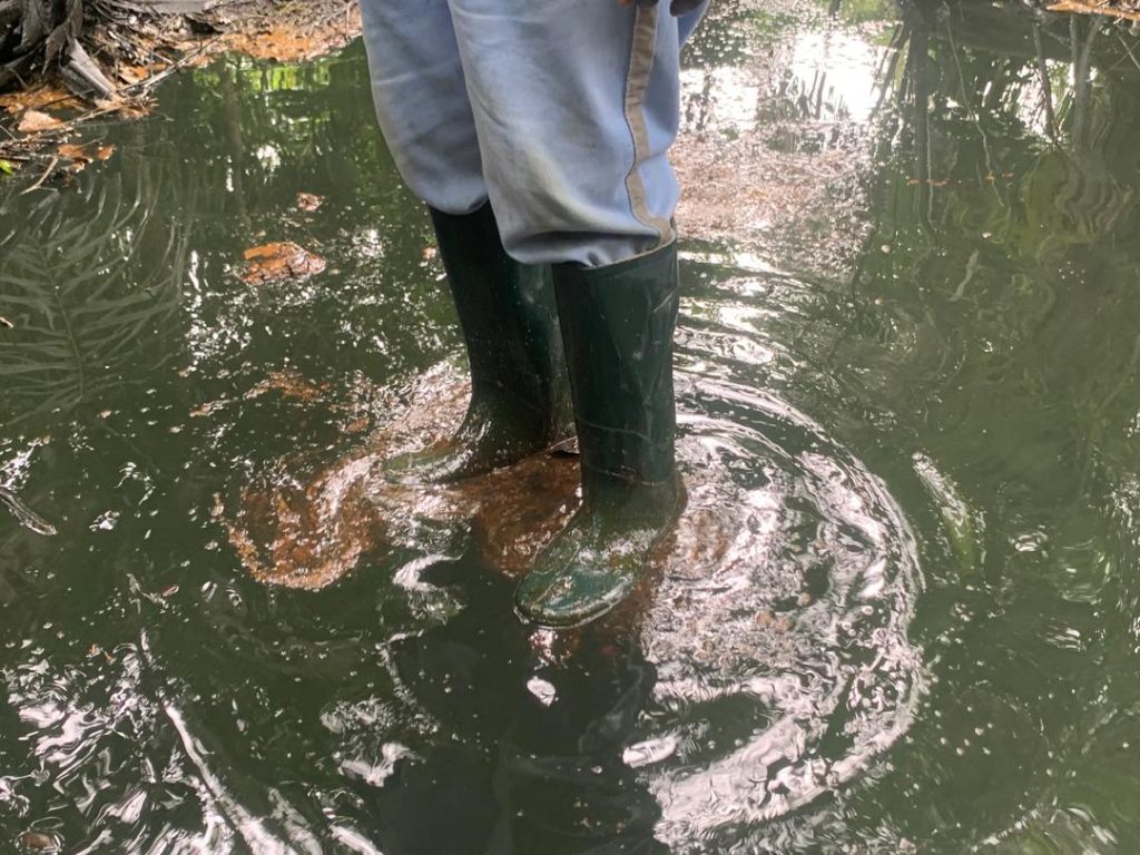 Oando discharges 217 barrels of crude into Bayelsa swamp