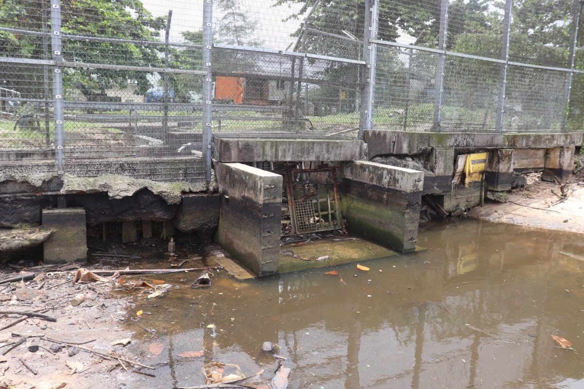 Rivers community seeks relocation over alleged environmental damages by ...