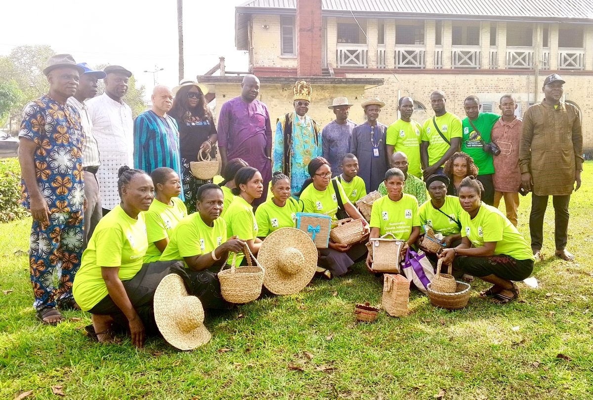 Group plants 15,000 mangroves to restore Rivers' wetlands