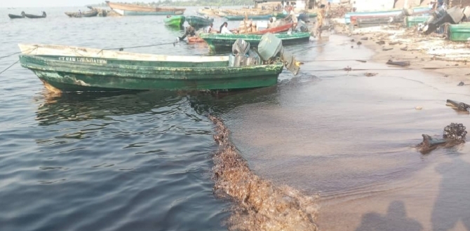 Shell oil spill at Bonny Export Terminal threatens local economy ...
