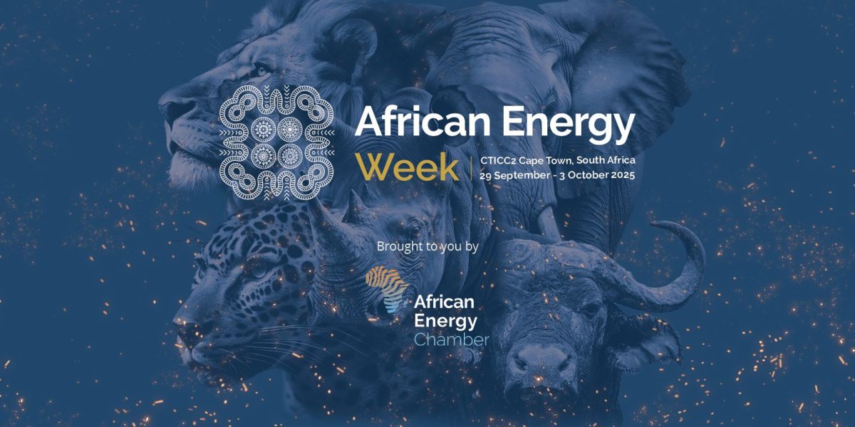 Germany pledges €4bn for green energy projects in Africa