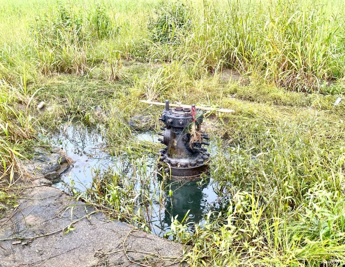 Fresh oil spills hit two Ogoni communities in Rivers