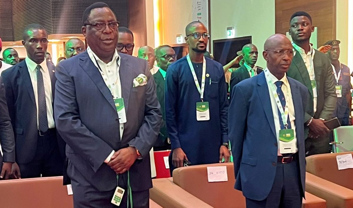 Nigeria must lead Africa's energy revolution beyond borders - APPO