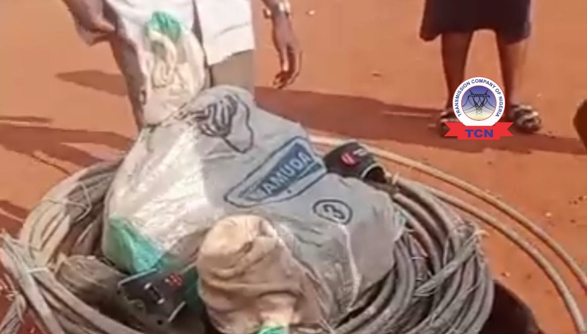 Local vigilantes nab five suspected vandals, safeguard TCN transmission ...