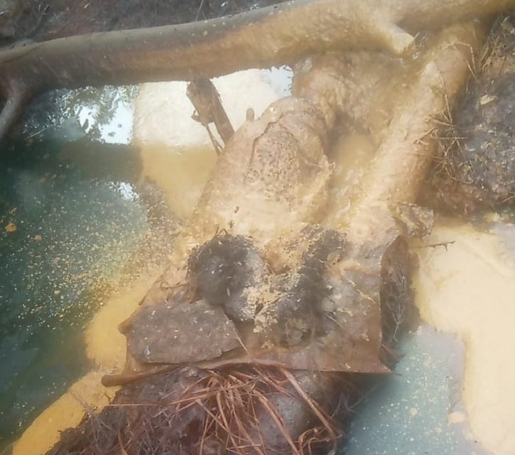 Oil spills from Oando facility hits Rivers community, pipeline still oozing